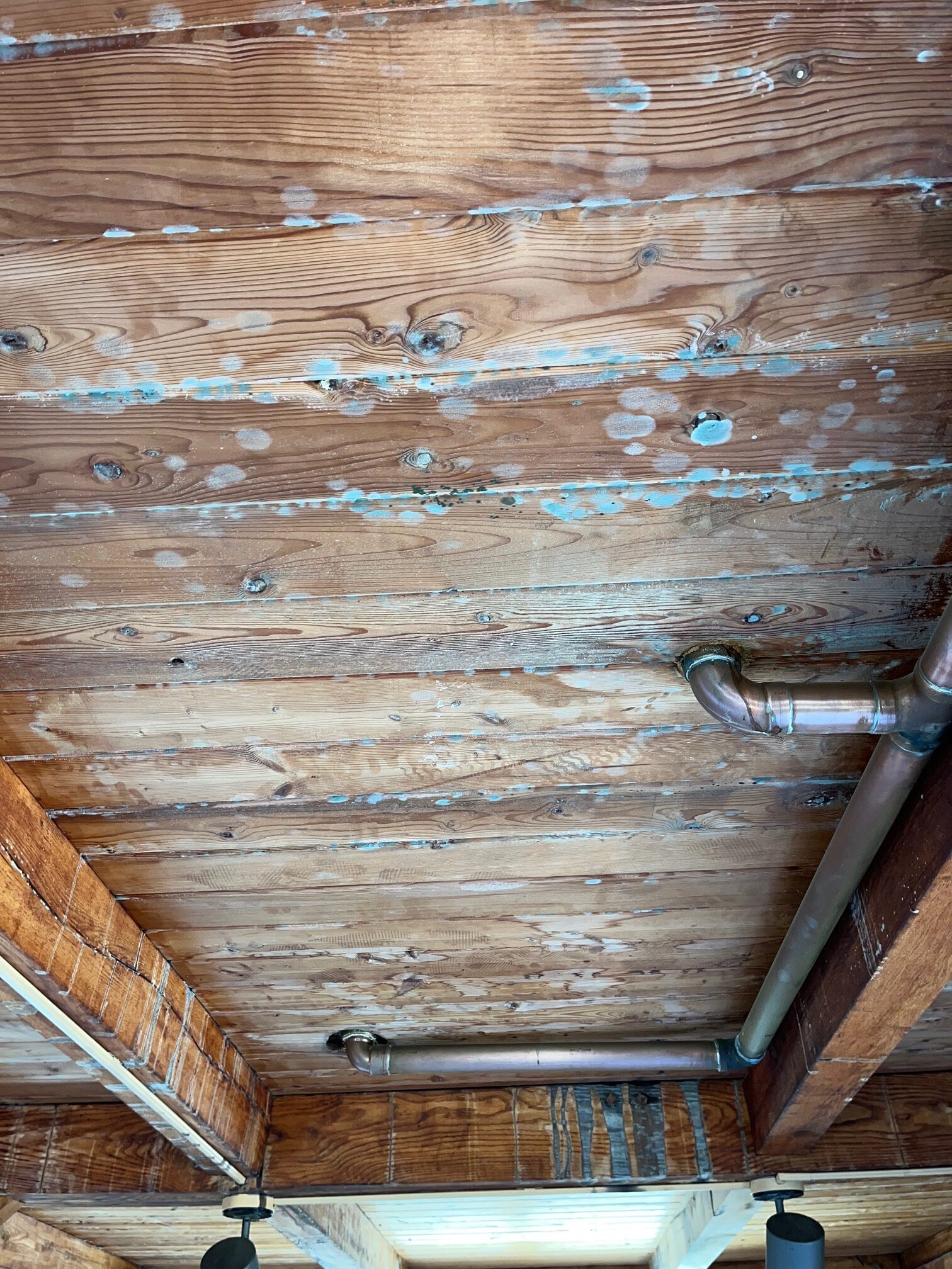 Long Island Mold Testing Service - Roberts Environmental