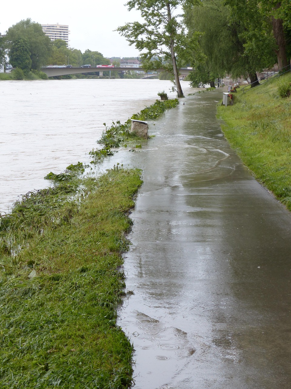 How Long Does It Take for Mold to Grow After a Leak or Flood? - Roberts ...